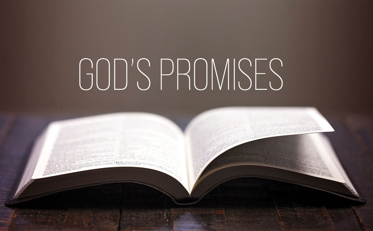 God's Promises in Live Your Faith 2024 | Carolina Creative Group